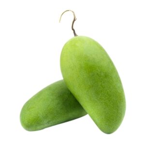 Morfologi Pohon Mangga Terbaru Yang Perlu Kamu Ketahui! - Kampusaja